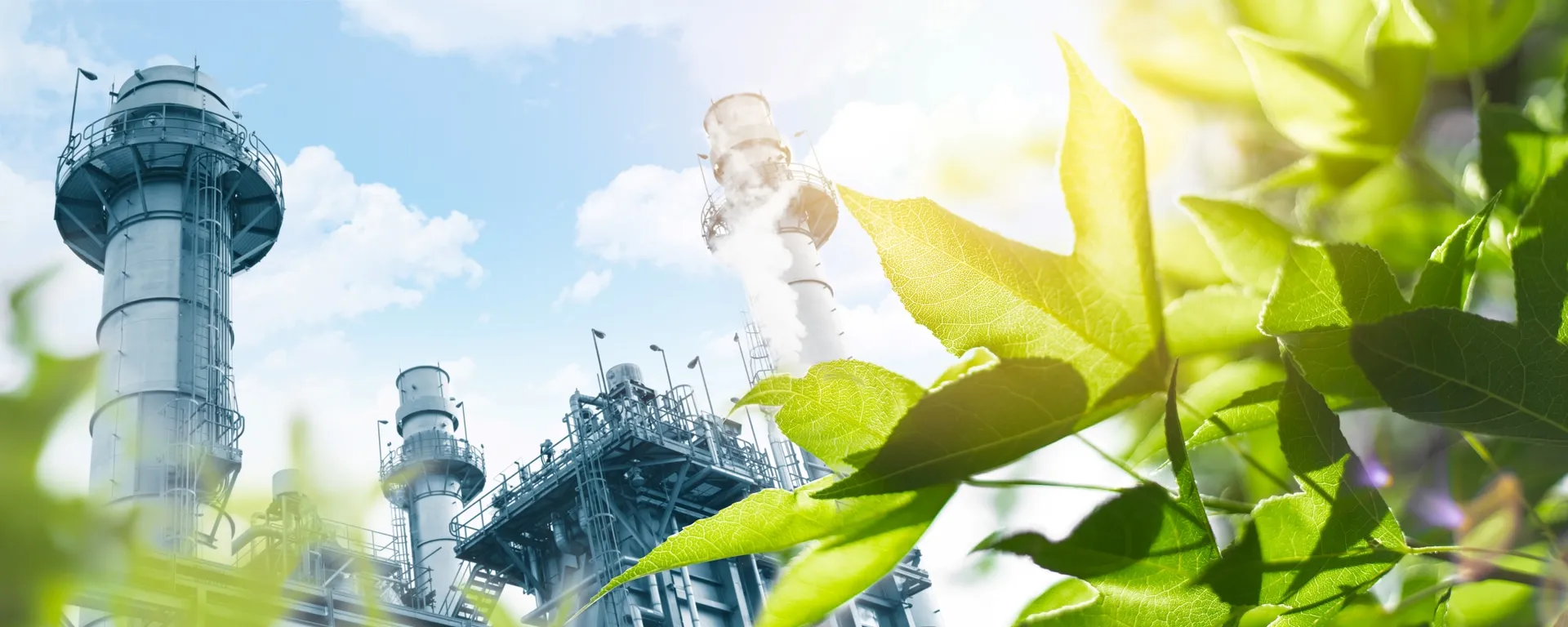 ¿Qué es SAF? El nuevo combustible sostenible para aviones